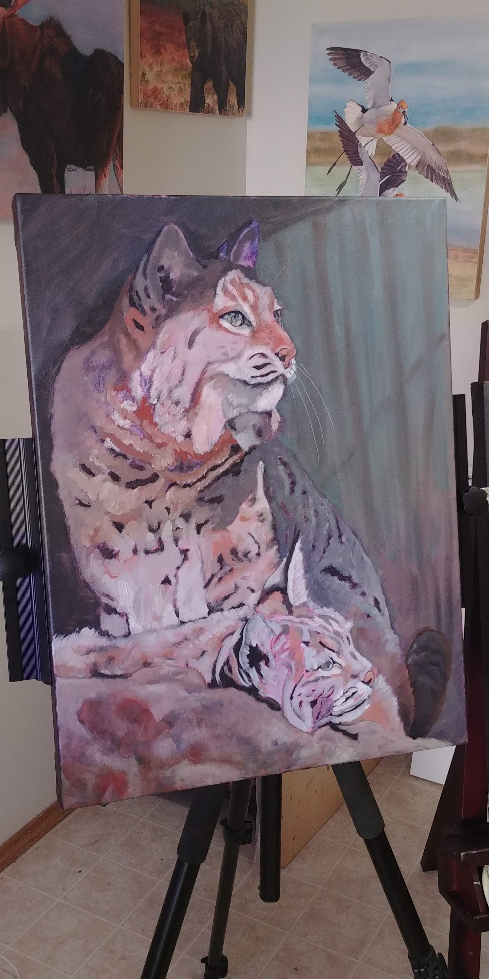 New Reflections Pieces - JASON DOUCETTE